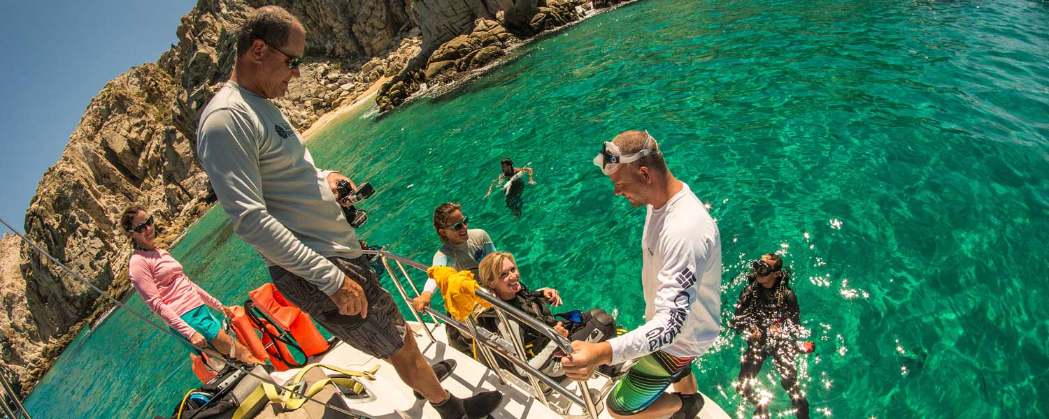 Pelican Rock Cabo Snorkeling Tour: Dive into the Wonders of Los Cabos ...